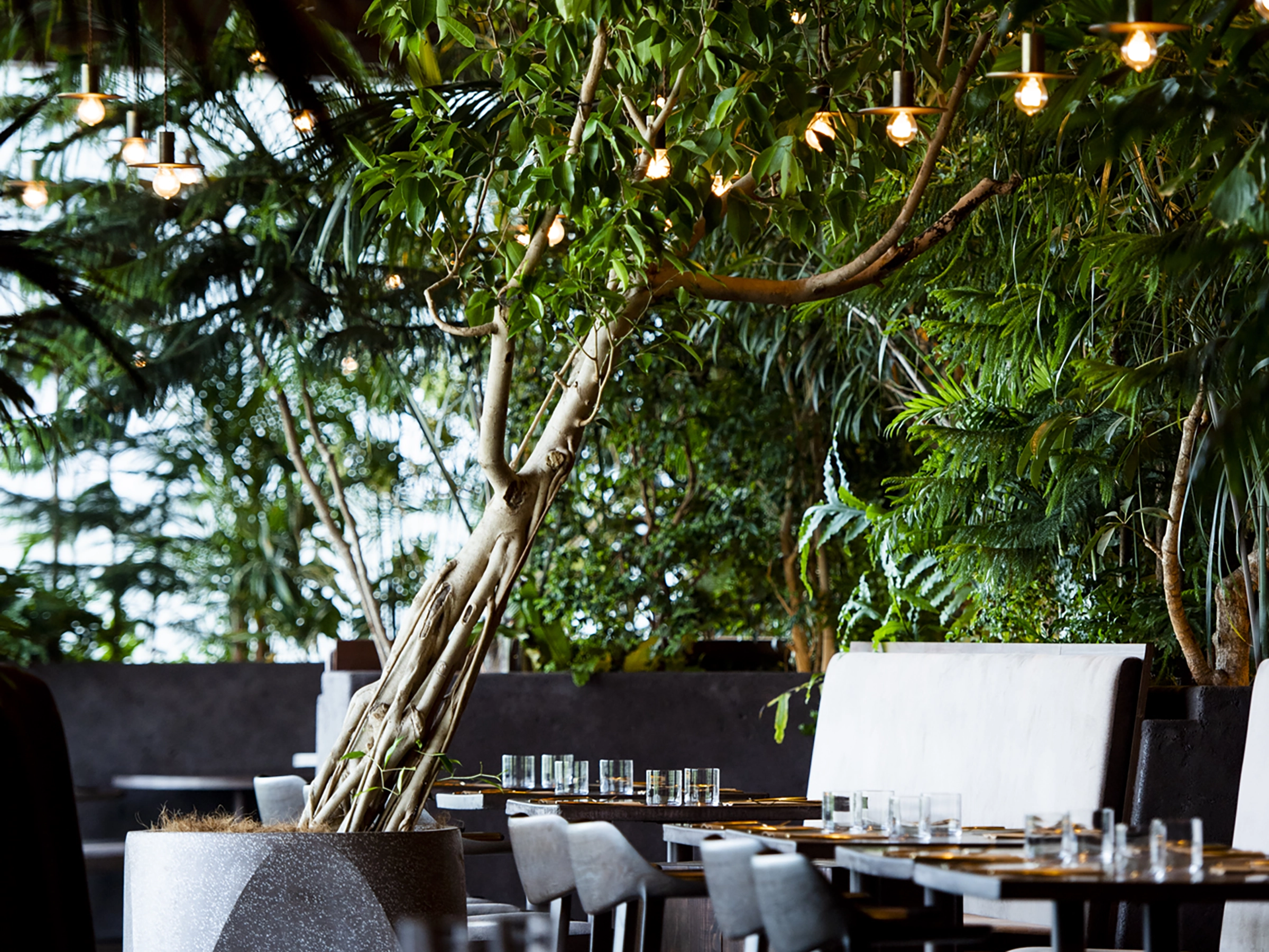 循環がテーマのGYRE.FOOD。信太シェフが語る「地球の環境を守るために自分にできること」 | What To Eat